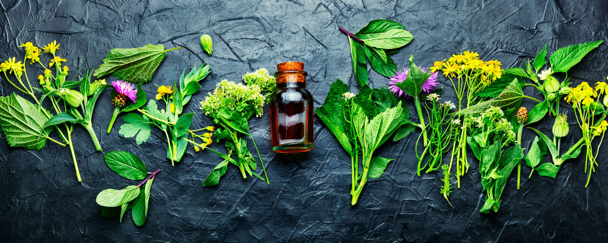 Liquore alle erbe: il digestivo perfetto per ogni cena - Ortolano